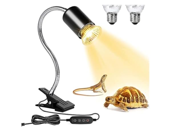 The 10 Best Terrarium Heat Lamps of 2024 (Reviews) - FindThisBest
