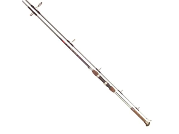 The 10 Best TICA Fishing Rods of 2025 - FindThisBest