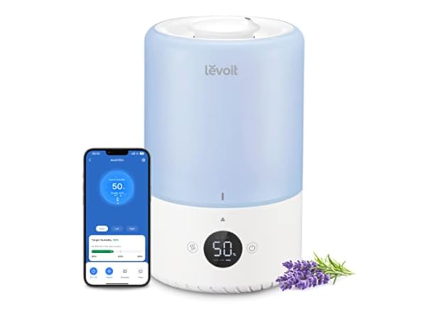 The 10 Best Timer Humidifiers of 2025 (Reviews) - FindThisBest