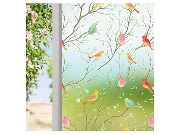 The 5 Best Translucent Window Films of 2025 (Reviews) - FindThisBest