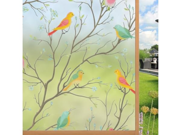 The 6 Best Translucent Window Films of 2025 (Reviews) - FindThisBest