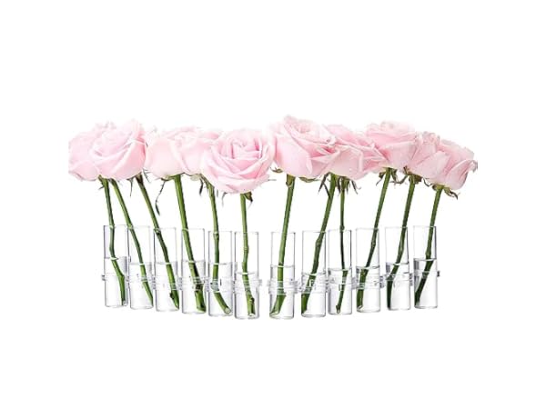 The 10 Best Tube Glass Vases of 2024 (Reviews) - FindThisBest