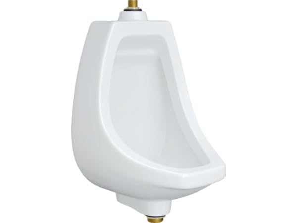The 10 Best Urinals of 2024 (Reviews) - FindThisBest