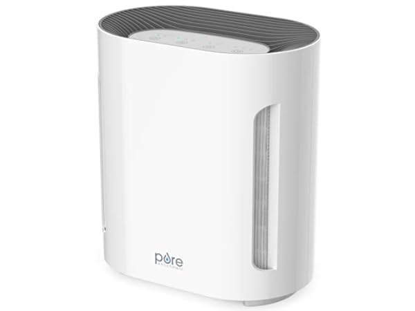 The 10 Best UV Light Air Purifiers of 2024 (Reviews) - FindThisBest