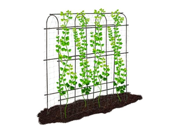 The 10 Best Vertical Garden Trellises of 2024 (Reviews) - FindThisBest