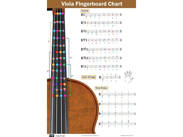 The 10 Best Viola Parts of 2026 (Reviews) - FindThisBest