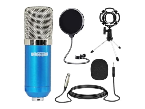 The 10 Best Vocal Condenser Microphones for Gaming of 2025 (Reviews ...