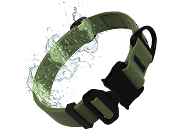 The 10 Best Waterproof Dog Collars of 2024 (Reviews) - FindThisBest