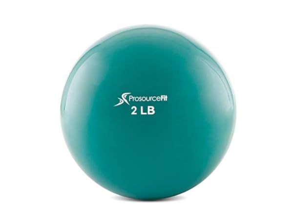 The 10 Best Weighted Exercise Balls of 2025 (Reviews) - FindThisBest
