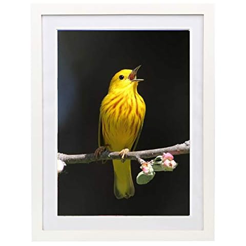 WKDP Review of 2024 - Wall & Tabletop Picture Frames Brand - FindThisBest