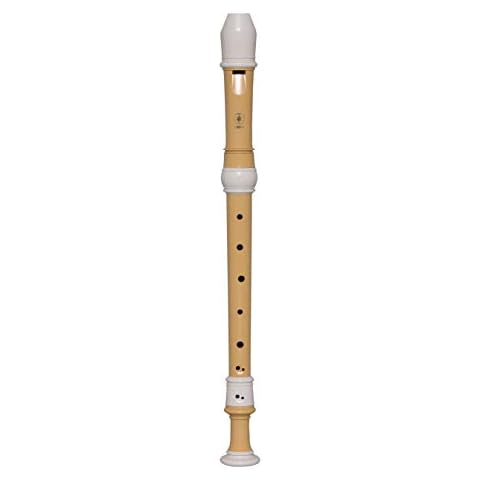 The 10 Best Plastic Recorders of 2023 (Reviews) - FindThisBest